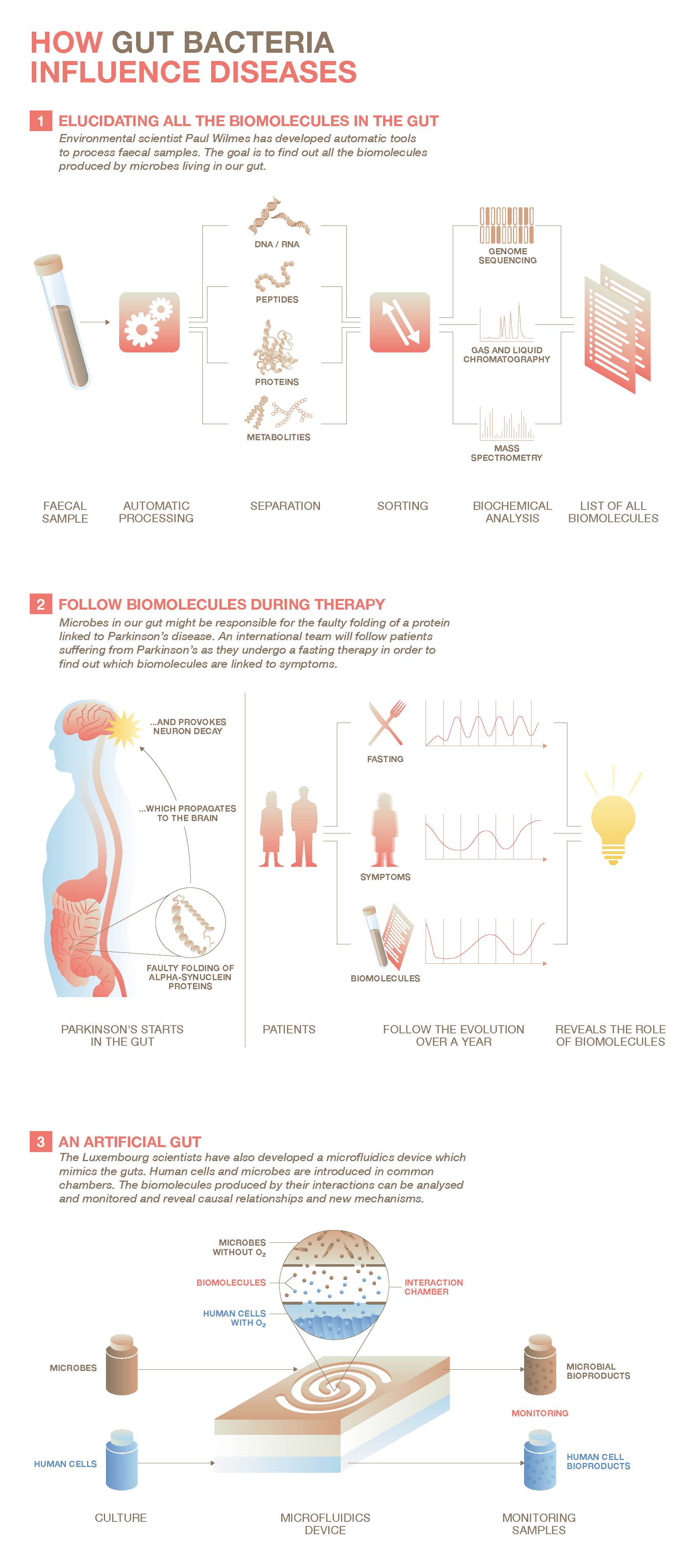 Annual Report 2020 - FNR